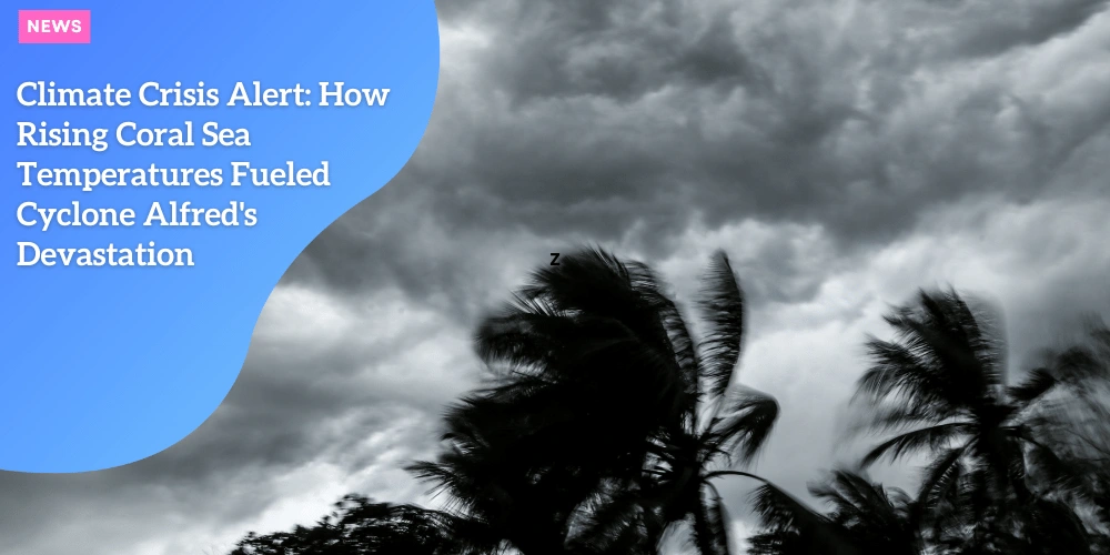 Climate Crisis Alert: How Rising Coral Sea Temperatures Fueled Cyclone ...